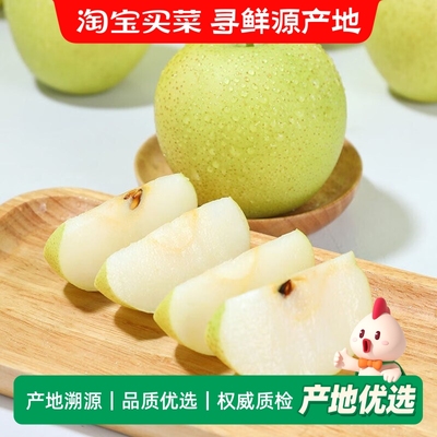 正宗砀山青皮梨苏翠一号皇冠梨当季新鲜翠冠酥脆整箱脆甜多汁鲜果