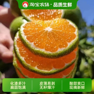 宜昌蜜橘桔子4.5斤无籽新鲜孕妇水果整箱当季青皮柑橘现摘农场