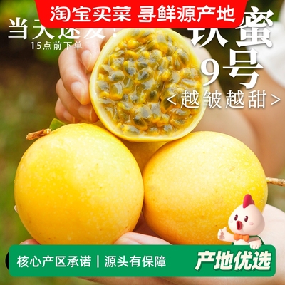 广西钦蜜9号黄金百香果1-5斤新鲜水果当季整箱百香果包邮大原果浆