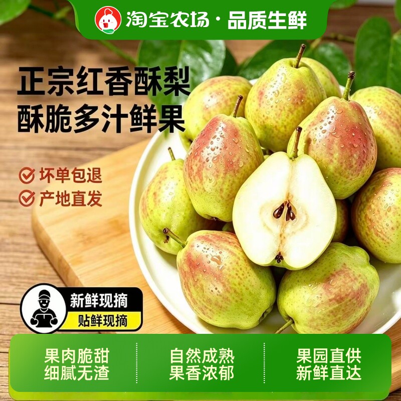 山西香梨红香酥梨酥梨新鲜水果整箱时令现摘爆甜多汁果子鲜果正宗