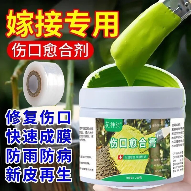 树木伤口愈合剂树干涂补剂盆景树皮涂膜剂果树嫁接切口修复涂抹剂