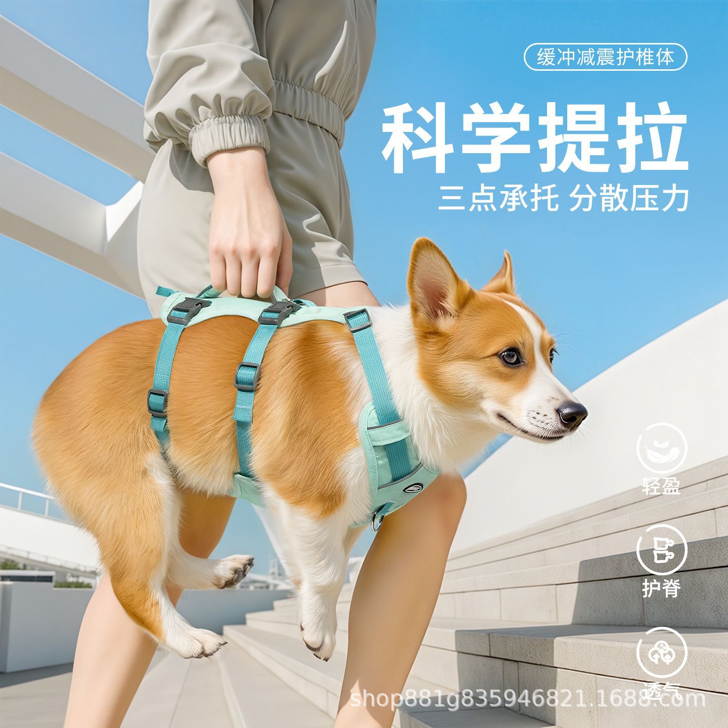 狗狗牵引绳胸背宠物狗背带背心式胸背带大中型犬专用牵狗绳夏季