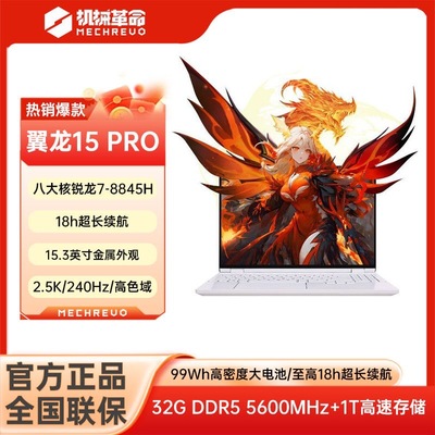 机械革命翼龙15ProR7-8845H