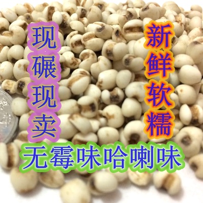 象山薏米草尾山尖下现磨现卖苡仁米龙岩适中薏仁米新鲜软糯500g