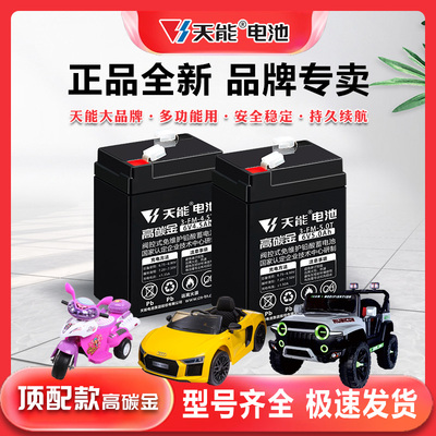 高碳金天能顶配款童车电池