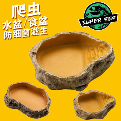 SuperRep爬虫树脂水盆食盆专用