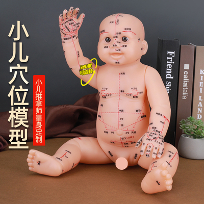 推拿娃娃人体穴位模型儿童仿真婴儿月嫂培训通用的娃娃