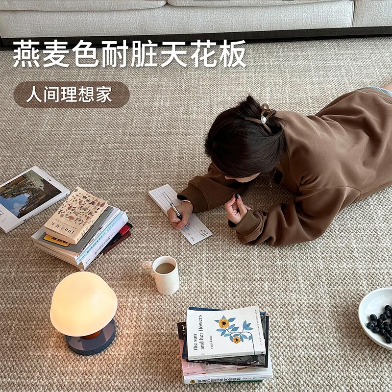 客厅轻奢高级进口羊毛地毯素色沙发茶几毯卧室地垫耐脏厚大宅地毯