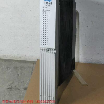 USDM+S离散I/O模块UPSDM024DCCBN