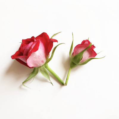 新鲜小玫瑰花 10朵/盒 以红色为主 西餐烘焙糕点摆盘装饰花