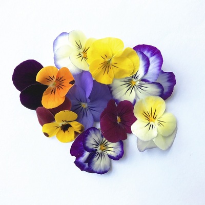 新鲜食用花 混色角堇花 100朵/盒 西餐摆盘装饰用 小三色堇花