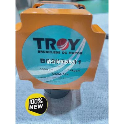 TROY泰映电机/马达B03004-01实物拍摄拍前