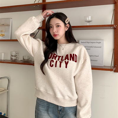 时尚起义韩国甜美2024秋冬portland毛巾绣加绒卫衣T恤dw24120101