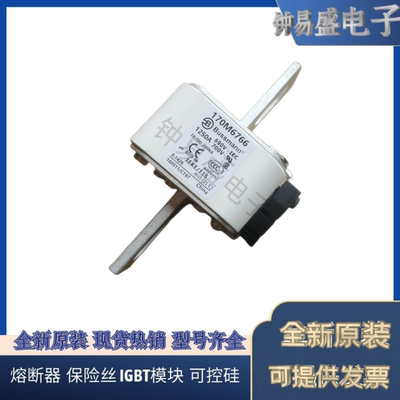 Bussmann熔断器170M6779 170M6780 170M6781 170M6782熔断器