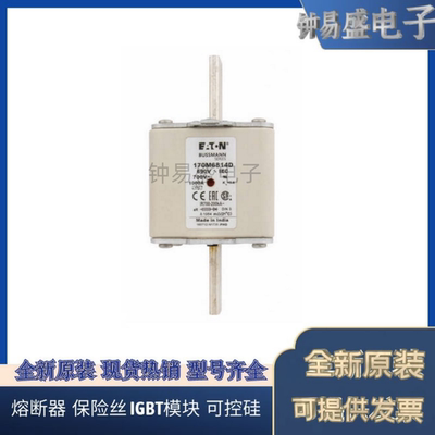 美国伊顿EATON Bussmann熔断器170M6811D