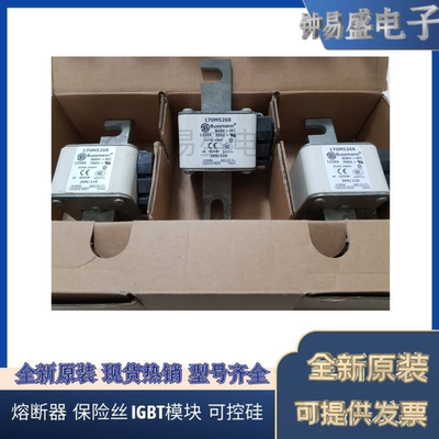 Bussmann熔断器170M5258 170M5259 170M5260 170M5261 170M5262