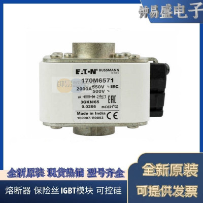 美国伊顿EATON 巴斯曼原装Bussmann熔断器170M6571 690V 2000A