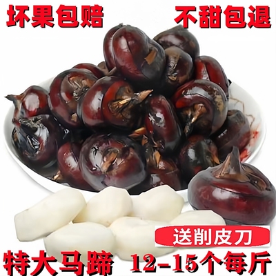 新鲜超大大个荸荠即食