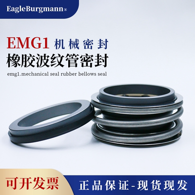 EMG1苏尔寿推流器专用