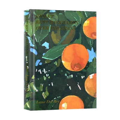 打雷姐诗集拉娜德雷英文原版