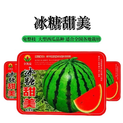 冰糖甜美西瓜种子超甜糖王西瓜种子抗病高产大西瓜南北方春秋栽培