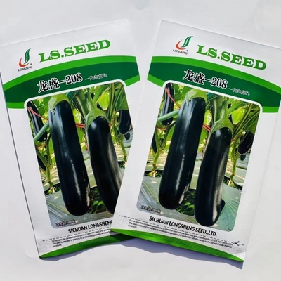 208黑茄子种子早熟一代杂交黑油靓丽抗病丰产南北方春秋季播