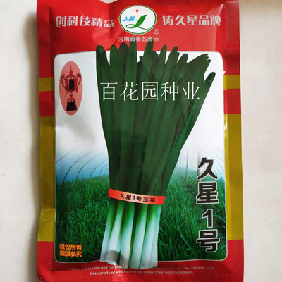 久星不开花10号韭菜种子