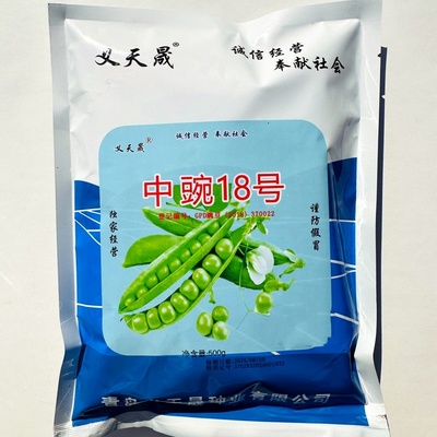 中豌18号大荚圆粒豌豆种子青豆种籽抗病耐寒豌豆种籽四季蔬菜种孑