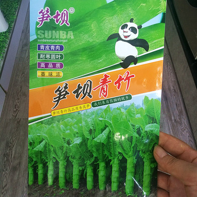 蔬菜耐寒四季莴笋种子