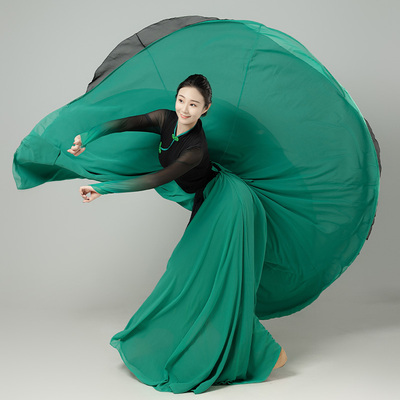 蒙古族舞蹈演出服艺考形体大摆裙