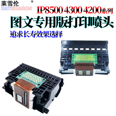适用佳能iP8600 IP8500 I9950 I9900 Pro9000 9100 IP4200 MP530 MP500 IP4300打印头IP5200 MP600 MP830喷头