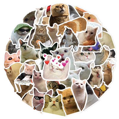 50pcs Funny Meme Stickers for Laptop Phone Case Water Bottle