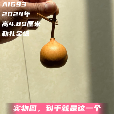 A1693高4.89厘米2024年精品手捻花叶病小苹果勒扎胖墩金蟾葫芦