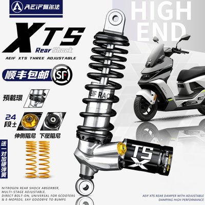 阿尔法XTS后减震双阻尼适用九号