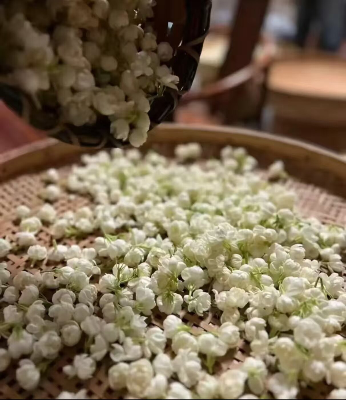 云南特级元江头茬冻干茉莉花茶正品无熏硫浓香冷泡茶可食用干花苞