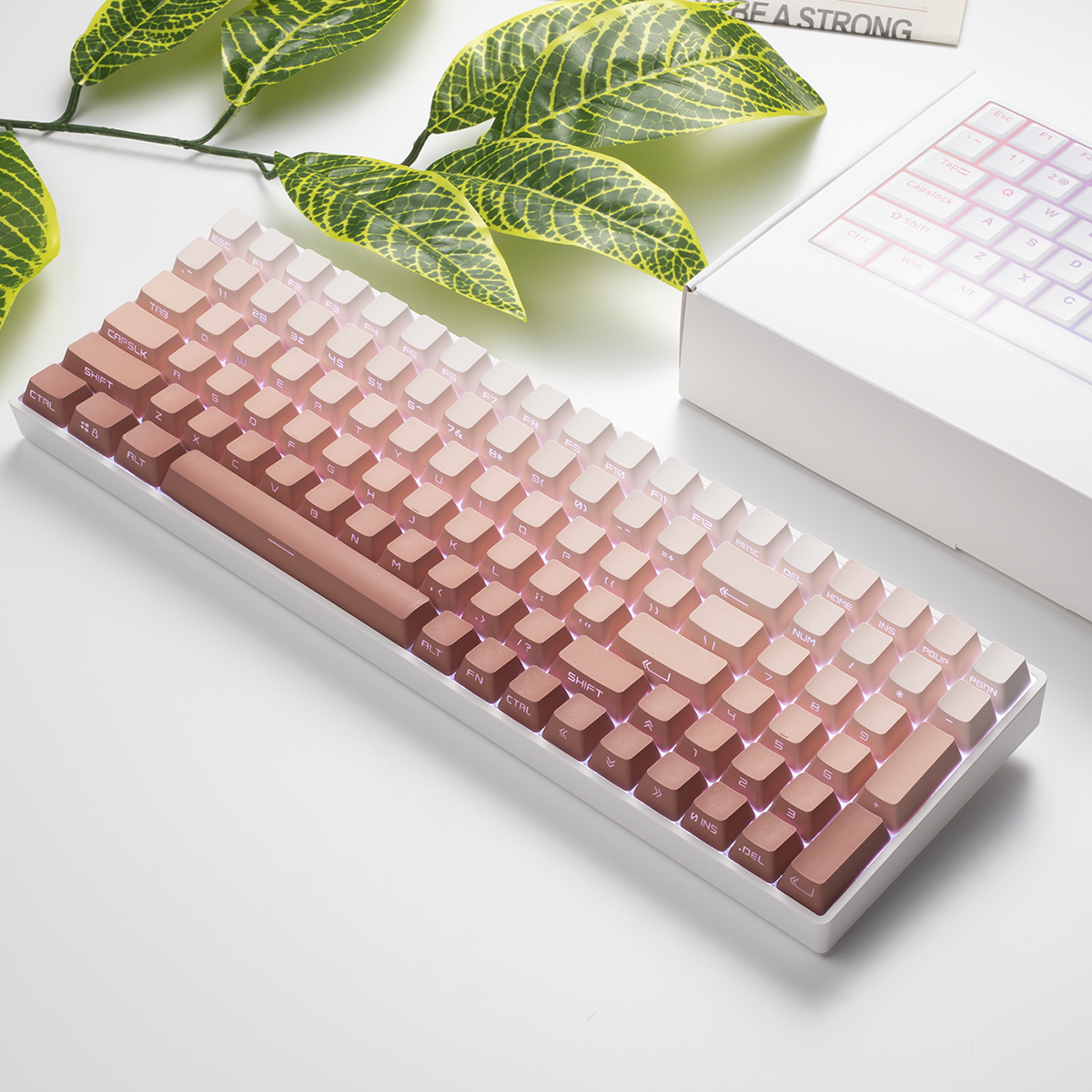 腮红透光键帽侧刻PBT浸染渐变OEM高度适合IKBC腹灵黑吉蛇 RK_虎窝淘