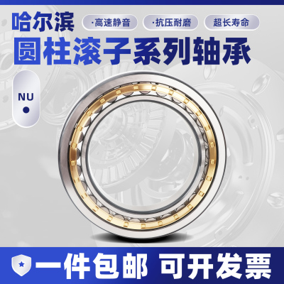 哈尔滨圆柱滚子圆柱滚子轴承丹洋