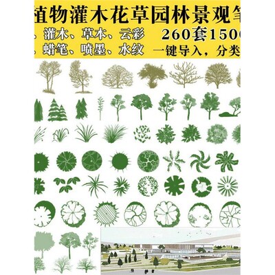 植物灌木花草园林景观笔刷ABR立面后期素材PS云彩260套1