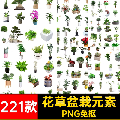 园林景观盆栽元素抠PS免背景花草图片221款PNG免抠盆景植物绿植