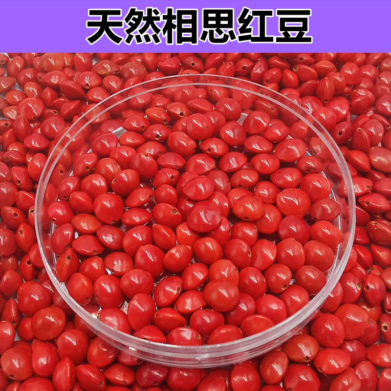 天然安红豆相思豆散珠子手工diy手串链配件菩提原籽打孔饰品配饰