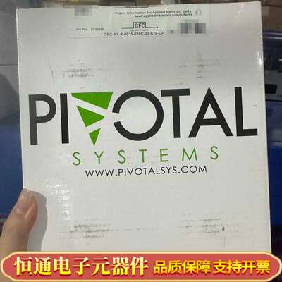 PIVOTAL流量计：MFC，GFC200，0190-6