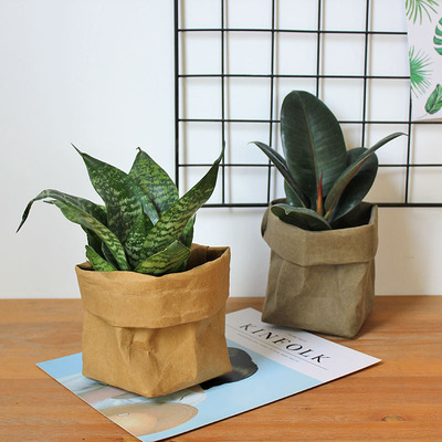 风小清新牛皮纸防水拍照道具绿植