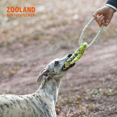 专用宠物狗ZOOLAND中大型犬咬耐