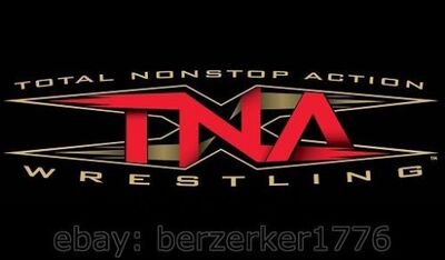 外贸户外旗帜TNA Total Nonstop Action Wrestling FLAG亚马逊