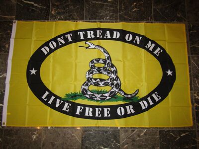 Gadsden Dont Tread On Me Live Free Or D Flag亚马逊WISH EBAY
