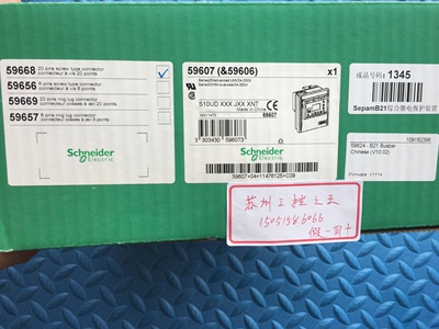 施耐德Sepam B21 , S10UD XXX JXX XNT  59624  59607  库存1个