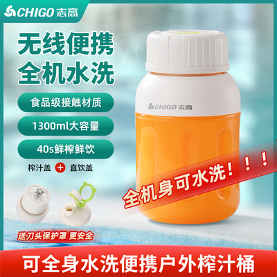 志高便携式榨汁机多功能榨汁机