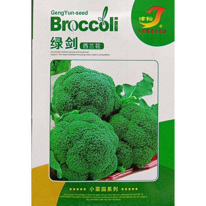 津耘绿剑西兰花种子75天中熟杂交绿花菜青花椰菜西蓝花种籽500粒