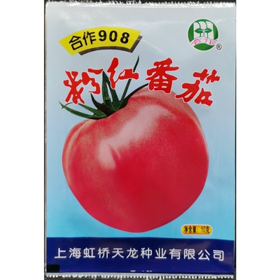 合作908粉红番茄种子大果