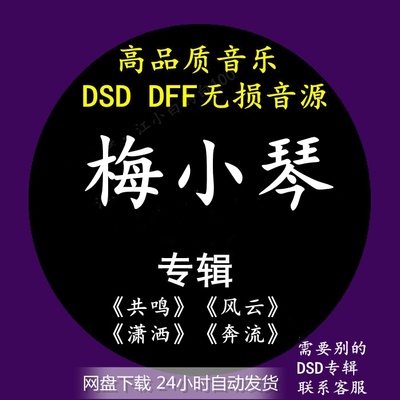 梅小琴音乐专辑：《共鸣》 DSD/DFF无损高品质HIFI母带音源下载